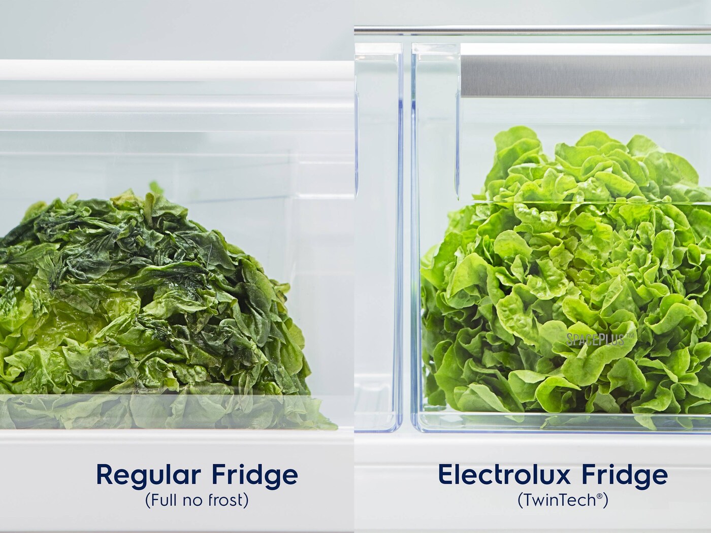 FreshPlus fridge freezers | Electrolux